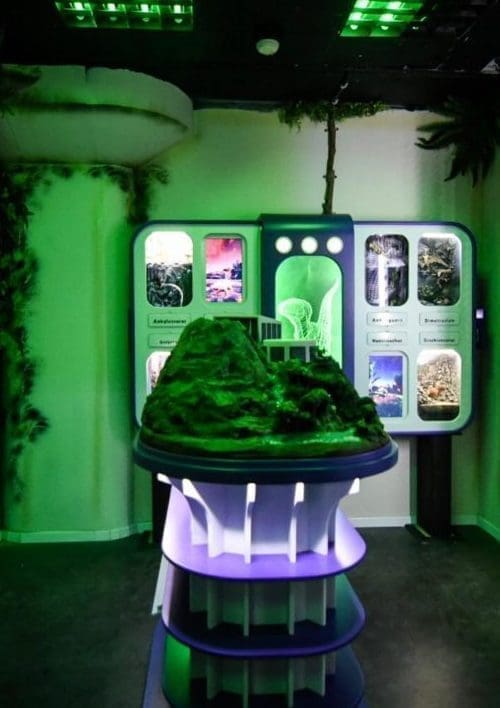 Magic Escape Room in Geelong | The Mystery Rooms